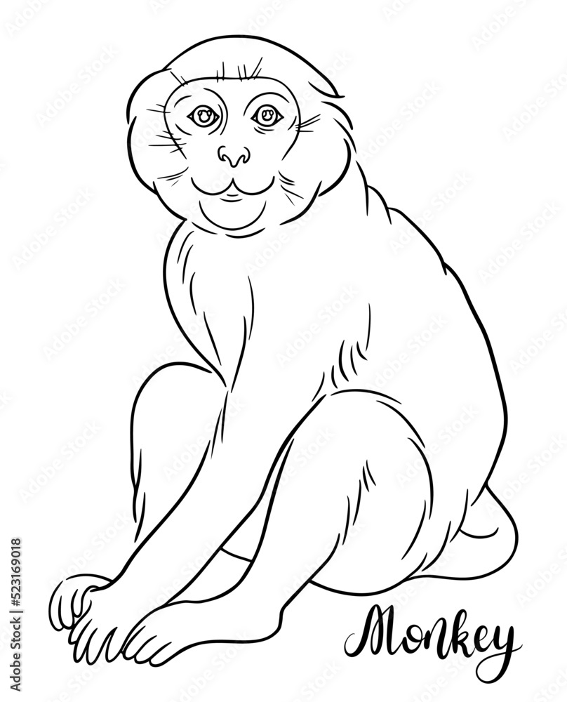 Contour monkey sketch with hand lettering. Line art vector illustration ...