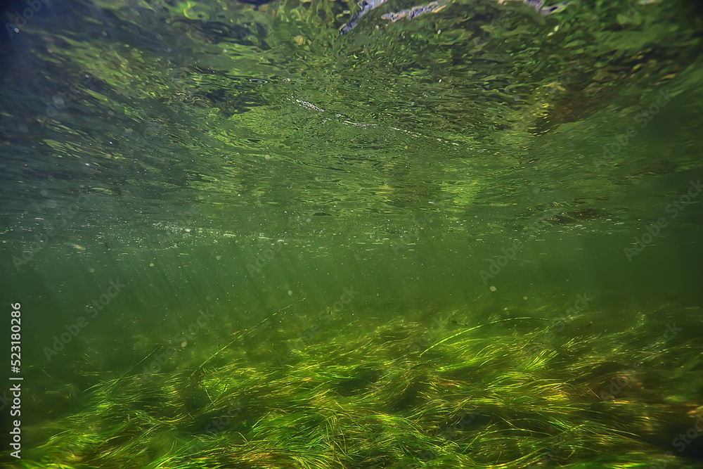 underwater fresh water green background with sun rays under, water ...