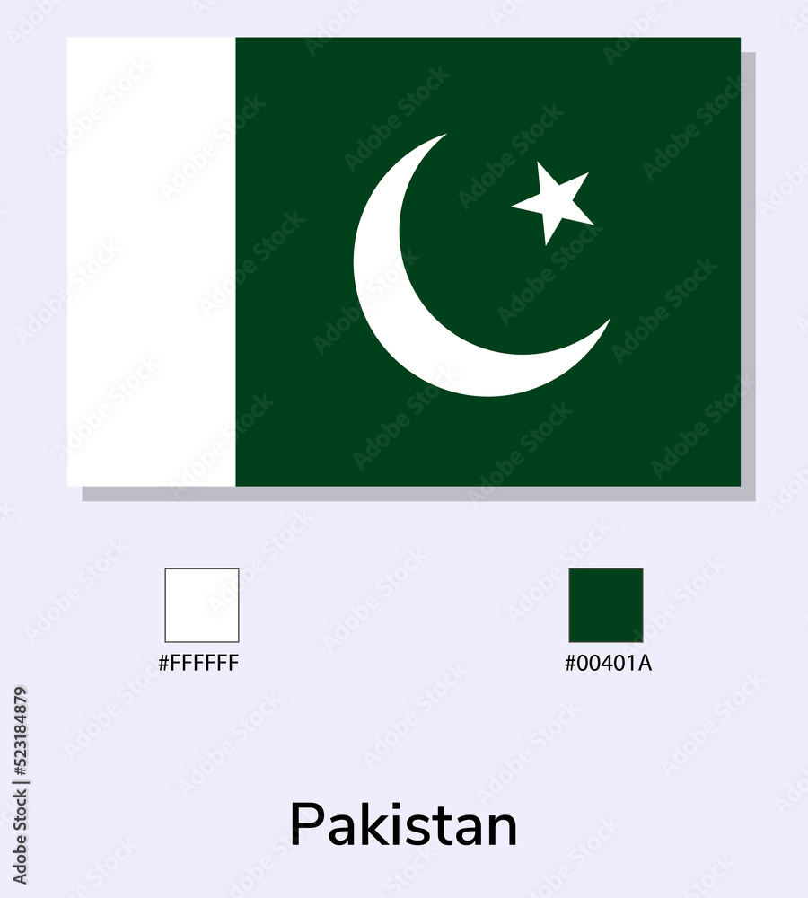 Vector Illustration of Pakistan flag isolated on light blue background ...