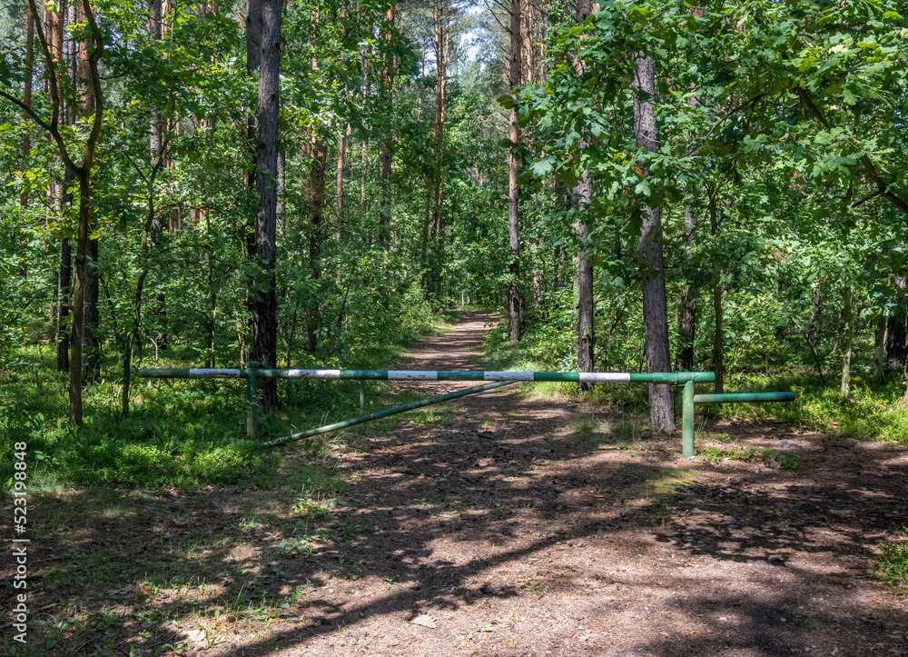 no entry to the forest path Stock Photo | Adobe Stock
