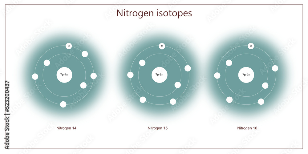 schema illustrativo della struttura atomica degli isotopi di azoto ...