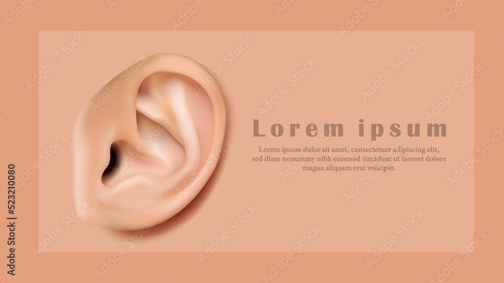 3d realistic vector background. Human body anatomy, body parts, ear ...