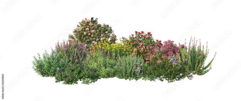 Shrubs and flower on a transparent background Stock Illustration ...