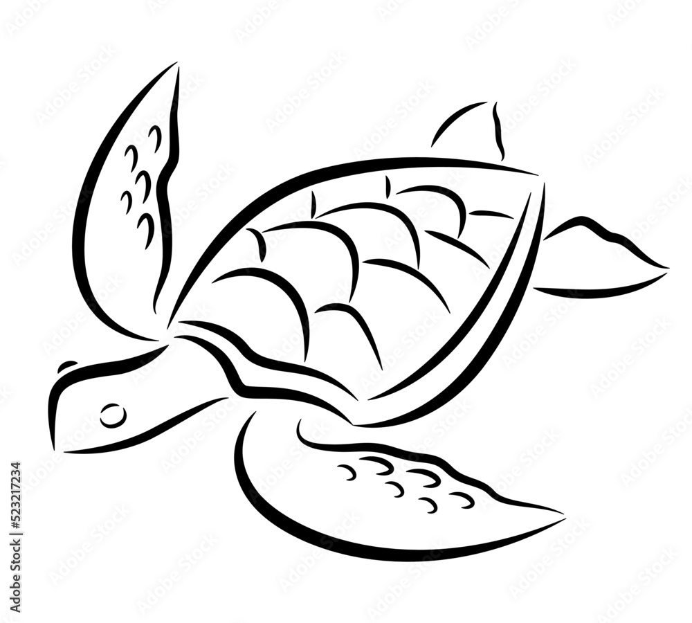 Sea turtle drawing black lines on a white background. Stock Vector ...