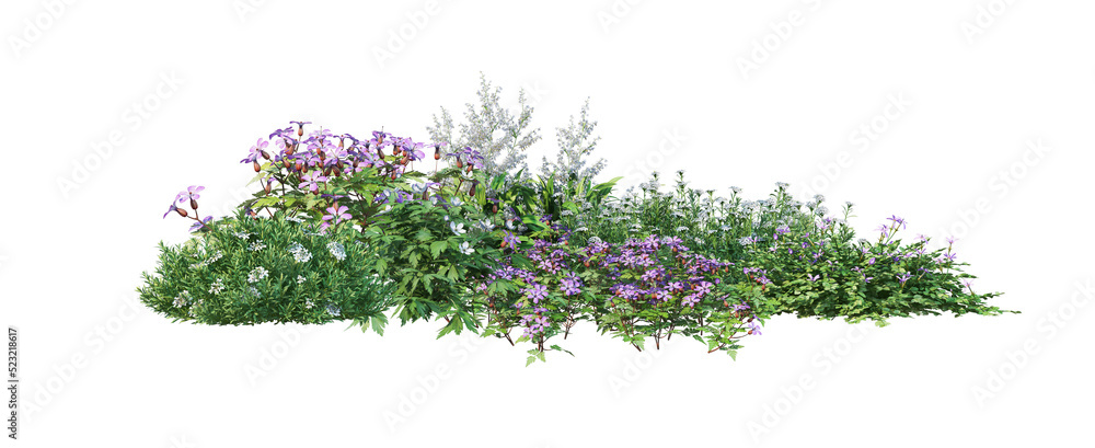 Shrub Transparent Background