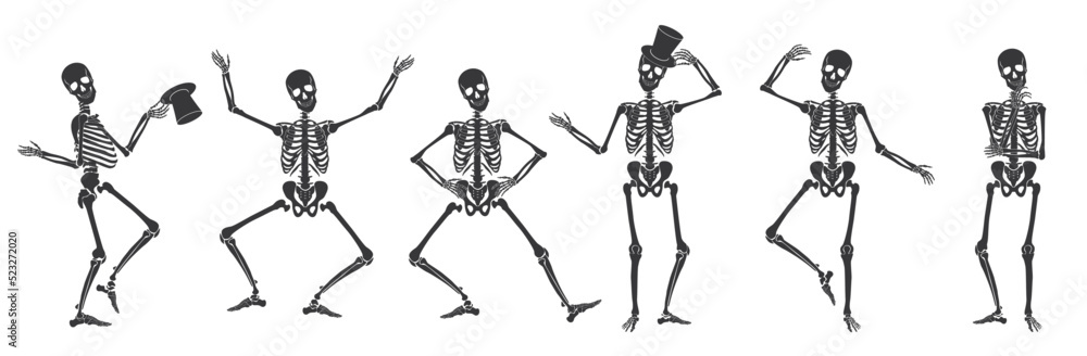 Dancing Human bones skeletons. Different skeleton poses set isolated ...