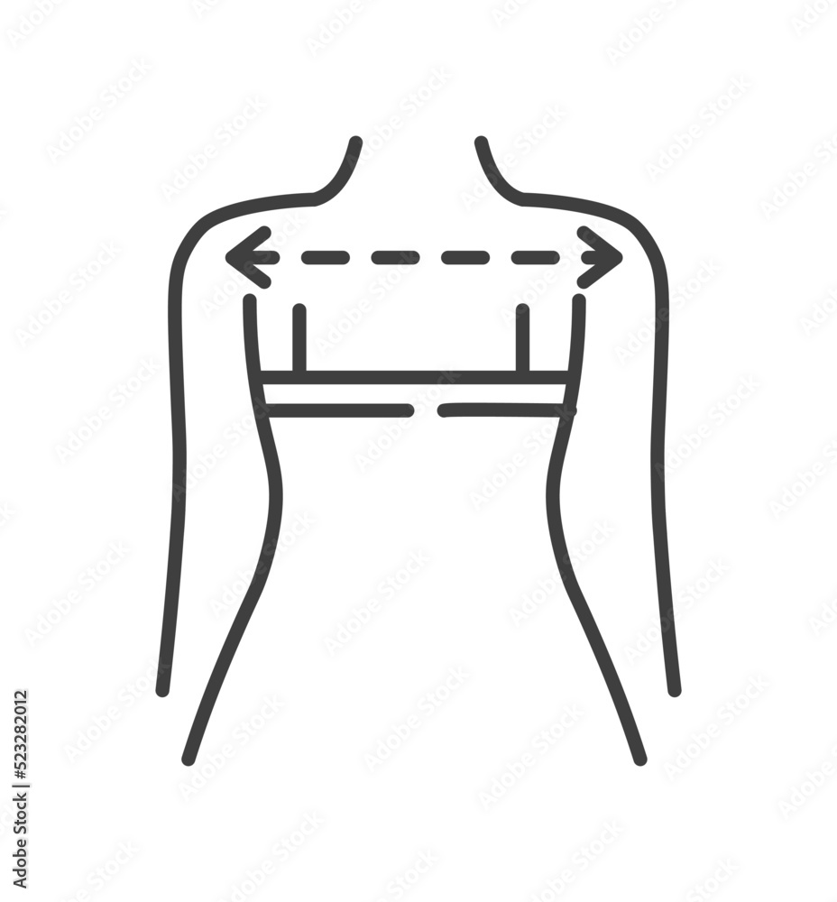 Dimensions of women shoulders, size chart clothes Stock Vector | Adobe ...