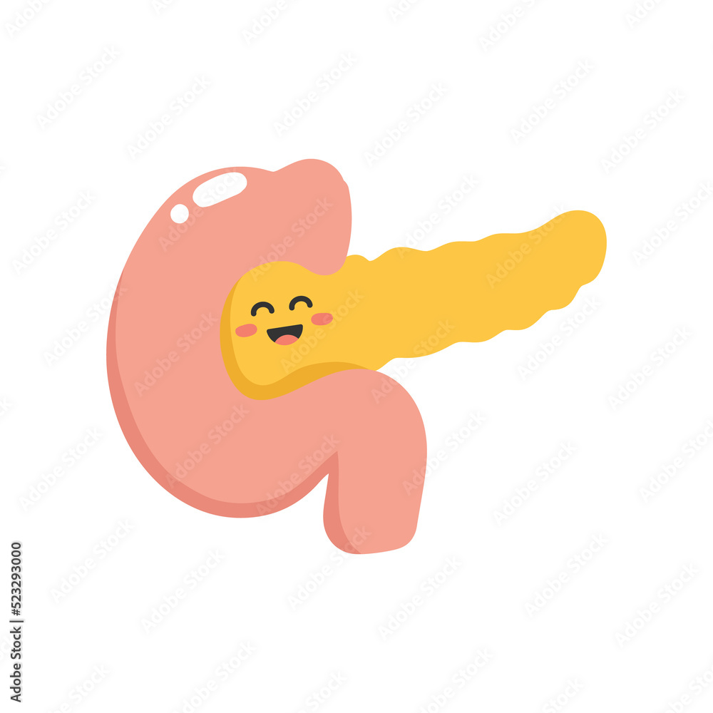 Cute cartoon pancreas. Pancreas illustration. Stock Illustration ...