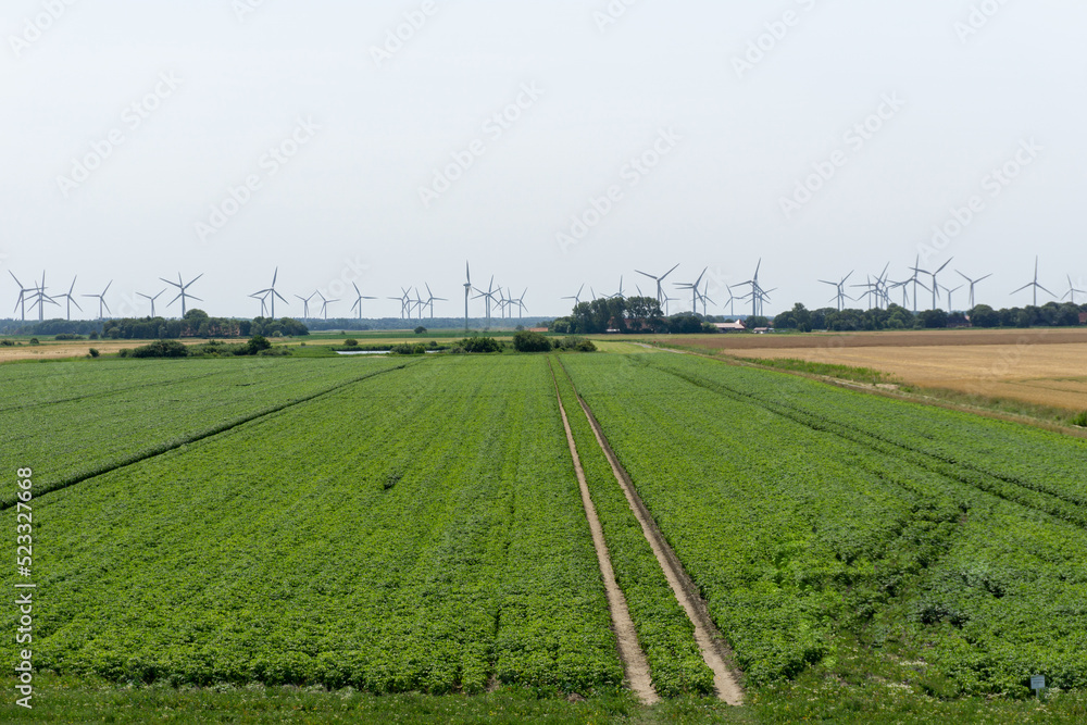 Ein grünes Feld mit Windrädern im Hintergurnd Stock Photo | Adobe Stock