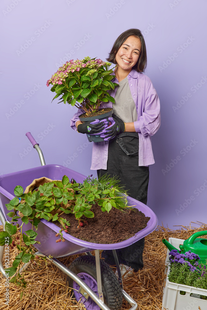 Vertical shot of happy Asian female florist replants potted flowers ...