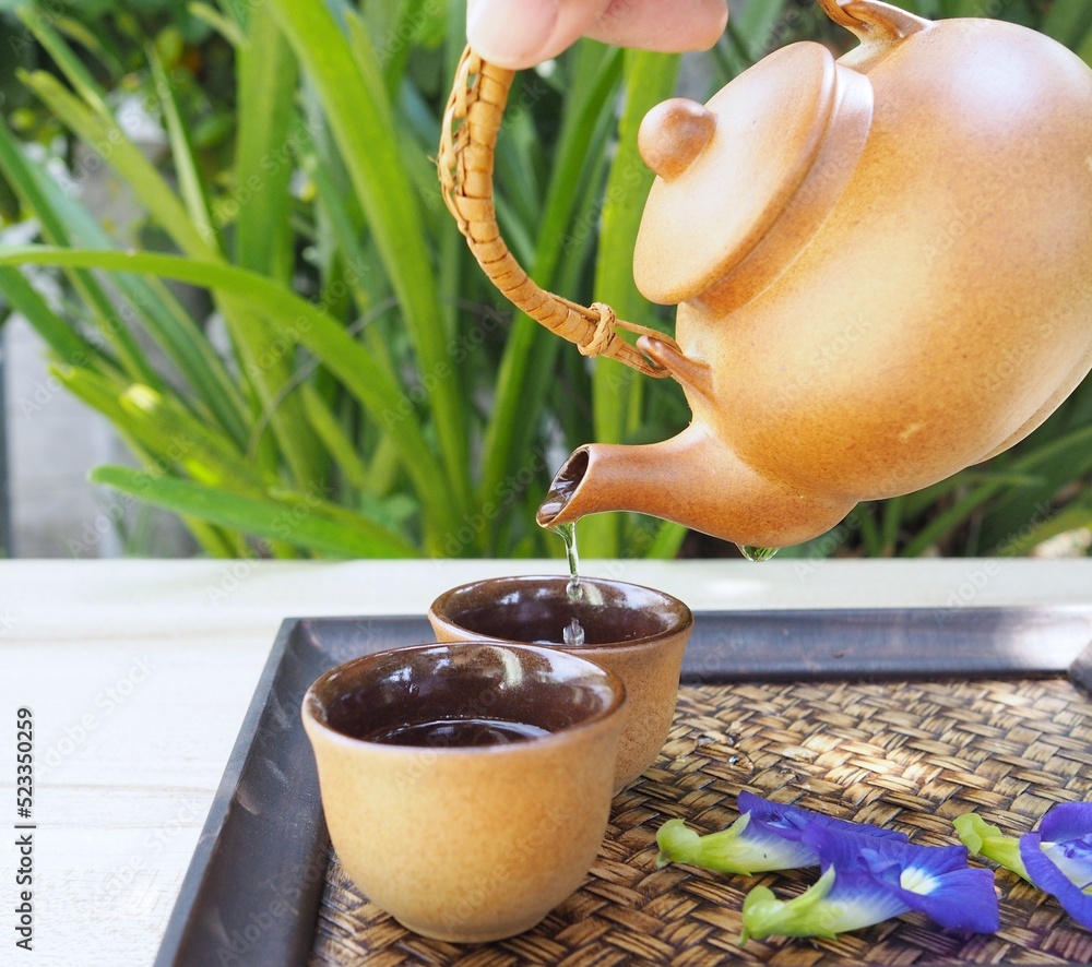 Blue color of anthocyanin in butterfly pea tea, natural acid and base ...