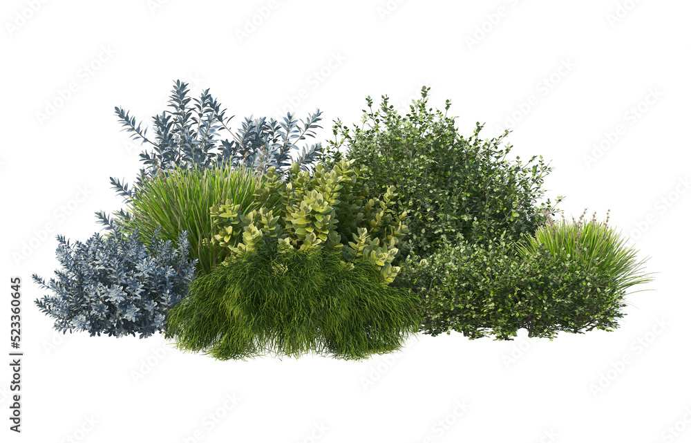 Shrubs and flower on a transparent background Stock Illustration ...