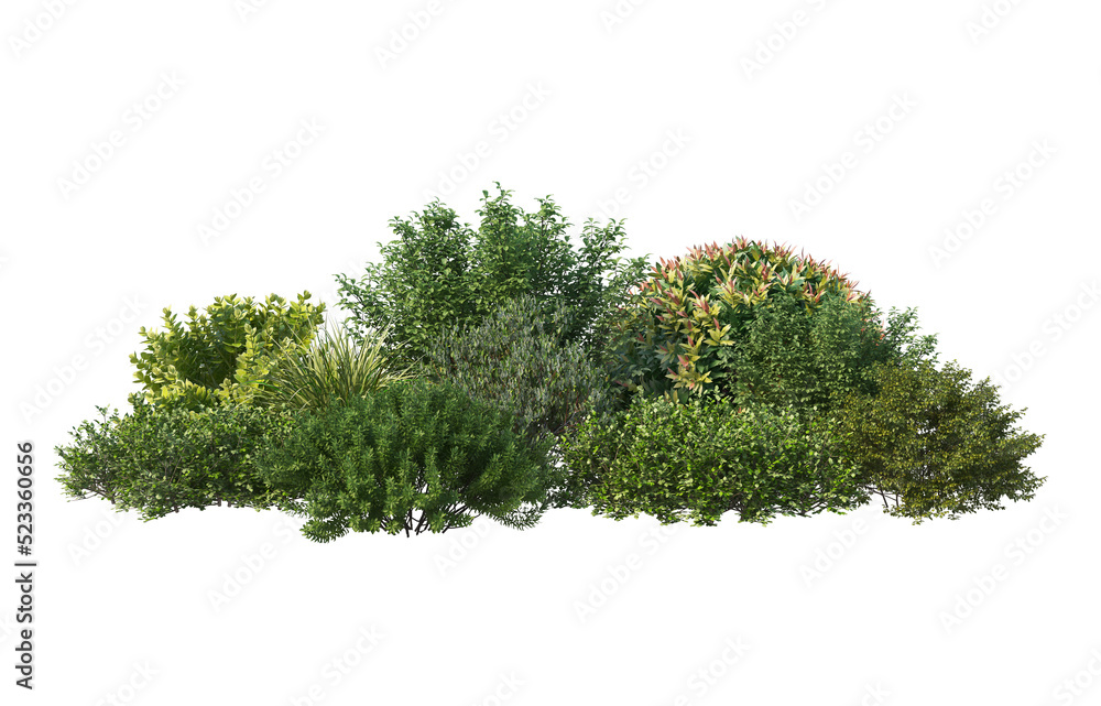 Shrubs and flower on a transparent background Stock Illustration ...