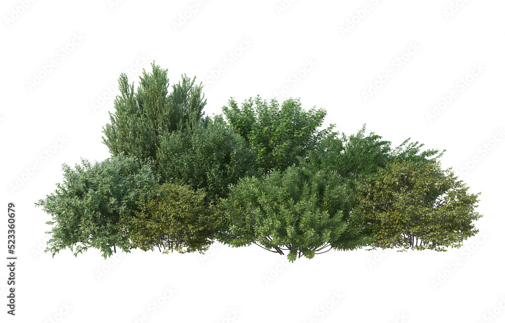 Shrubs and flower on a transparent background Stock Illustration ...