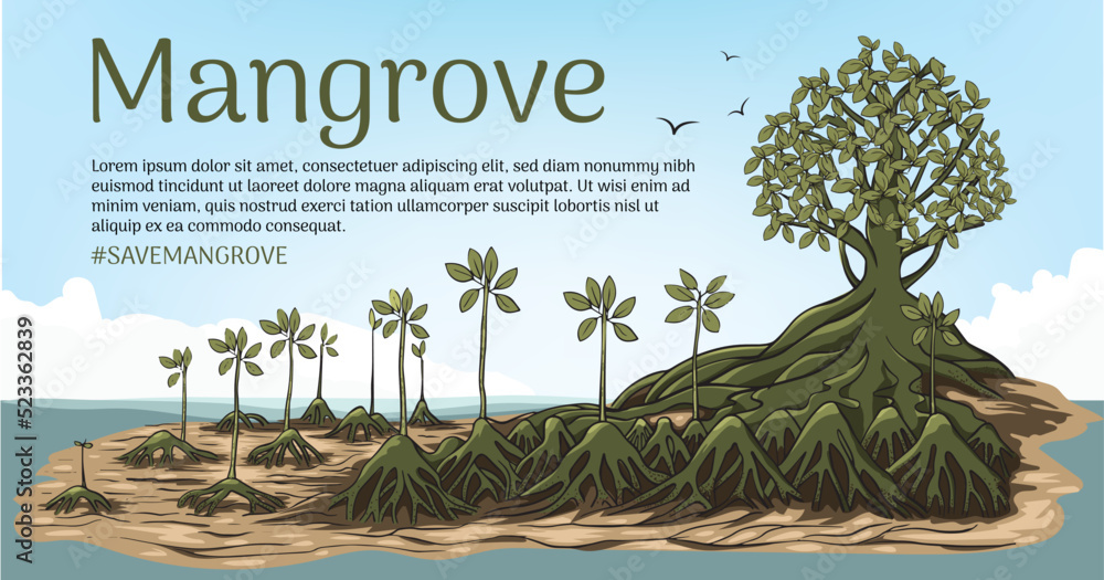 Vetor de Regeneration of Bruguiera mangroves. Banner background for ...