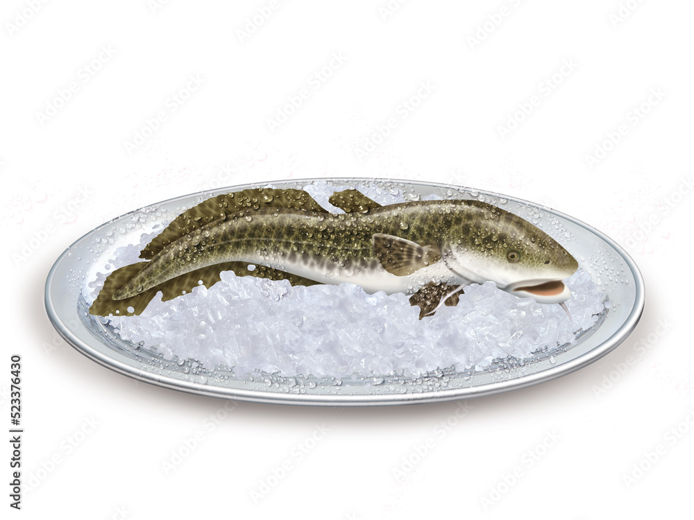lotte , poisson, plateau, glace pilé, fraîcheur, frais, pêche, aliment ...