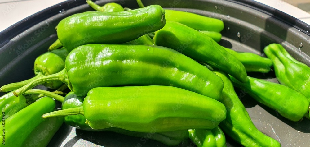 Juicy green peppers. Cooking process of sweet green pepper. Healthy ...