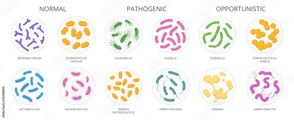 Cartoon bacteria, biological microorganism, good and bad microbiota. Microbes and bacteria ...