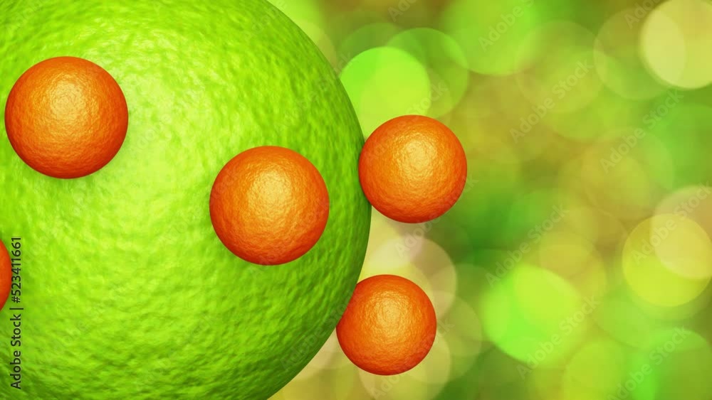 Realistic satisfying looping 3D animation of the beautiful lime peel ...