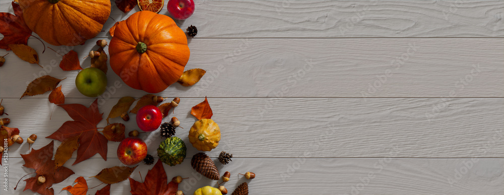 Top down view of White wood Tabletop with leaves, Gourds and Acorns ...