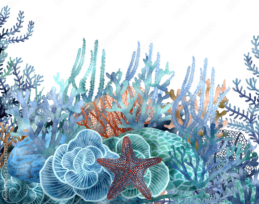 Underwater Sea Life Paintings Vintage Retro Underwater Marine Sea Life