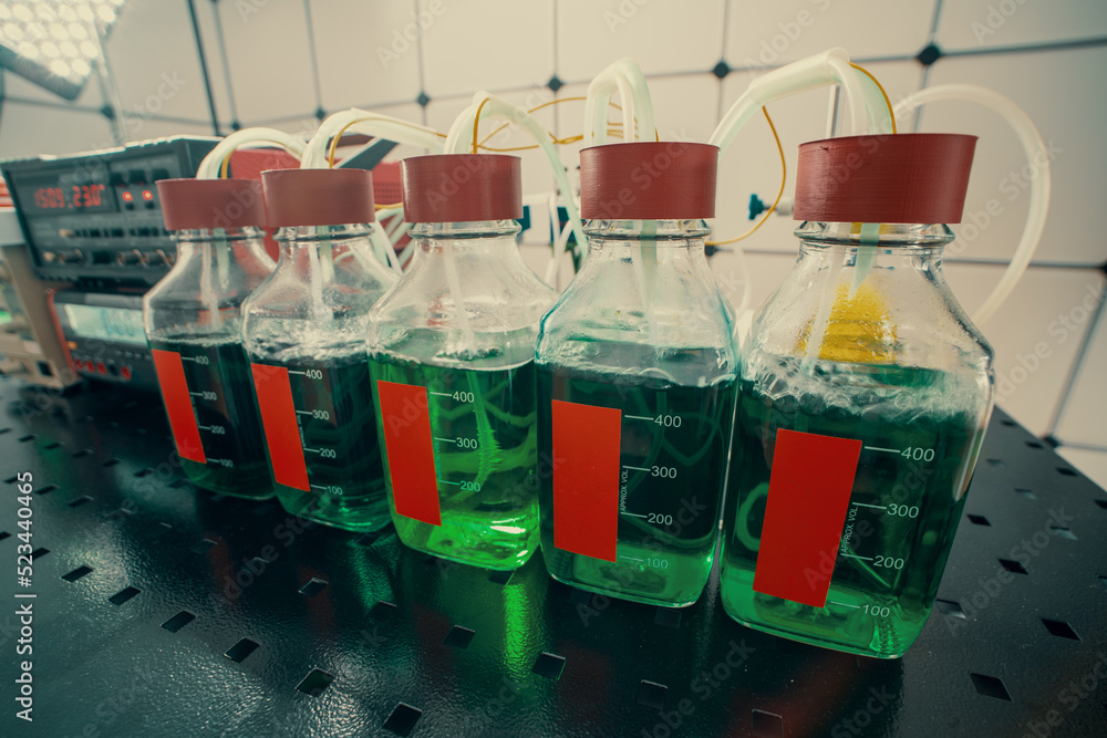 Experimental setup for enzymatic synthesis by genetically modified ...