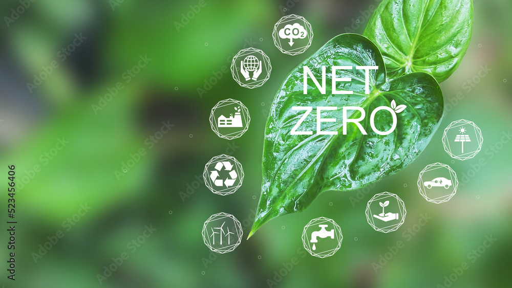Net Zero. The word net zero on leaf with green blur background with ...