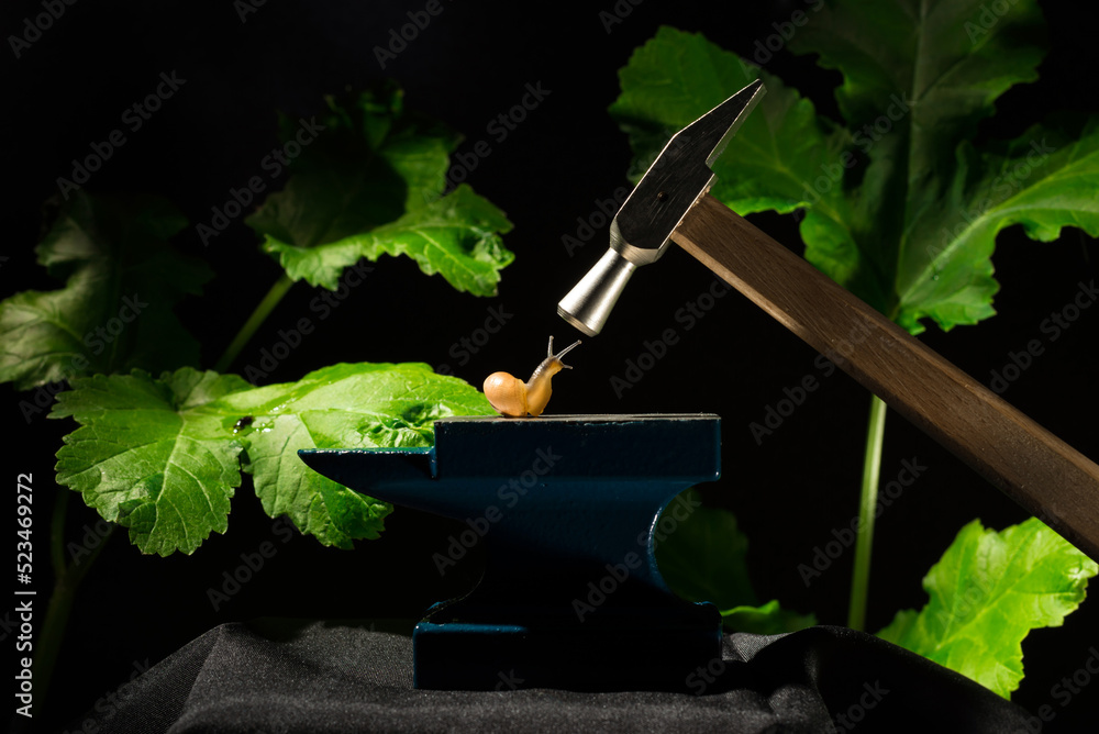 snail on the anvil under the hammer the concept of naivety and ...