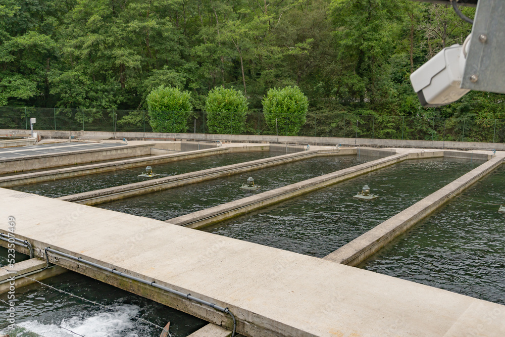 Several concrete pools of a fish farm for raising fish for human ...