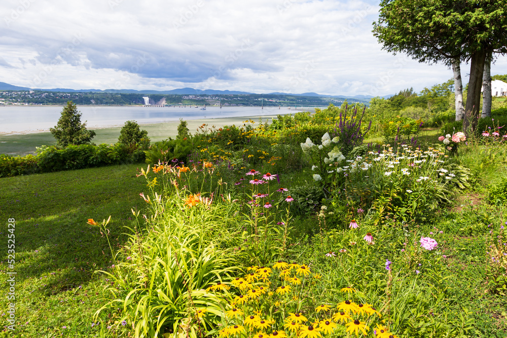 Horizontal view of perennial flowers in garden, with the St. Lawrence ...