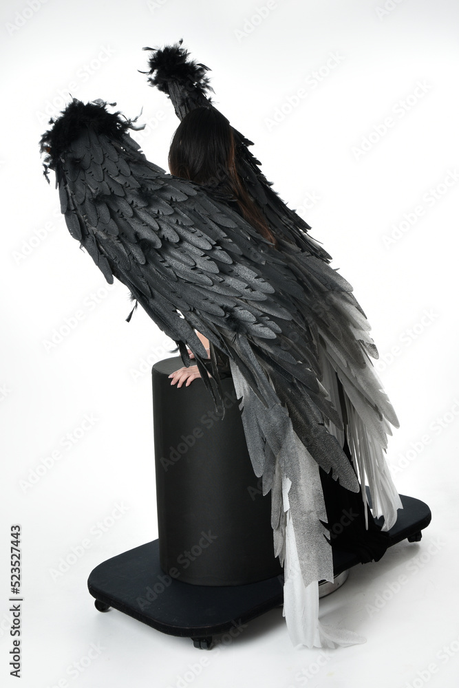 full length portrait of beautiful asian model with dark hair, wearing ...