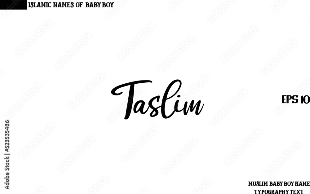Baby Boy Arabic Name Taslim in Cursive Calligraphy Text Stock Vector ...