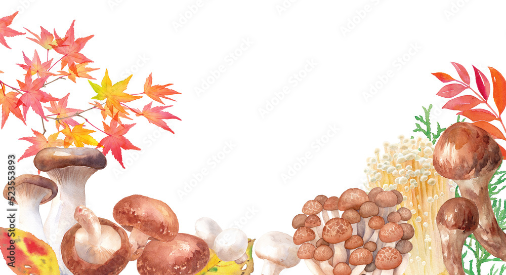 秋のキノコの収穫イメージバナー背景。いろいろなきのこで飾ったフレームデザイン。水彩イラスト。（透過背景） Stock 일러스트레이션 ...