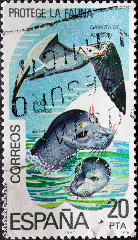 Spanien - CIRCA 1978 : a postage stamp from Spanien, showing Audouin's ...