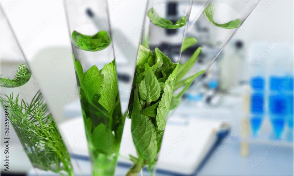 Science working with chemical reaction in chemistry laboratory. liquid ...