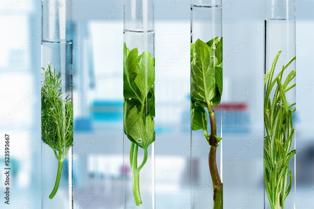 Science working with chemical reaction in chemistry laboratory. liquid ...