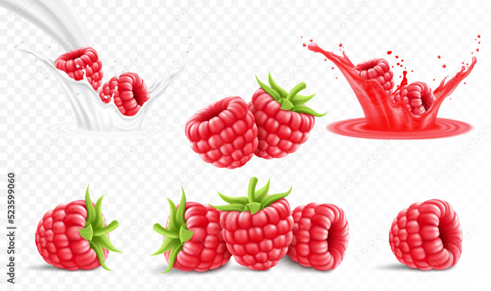 Collection of ripe raspberries isolated on transparent background ...