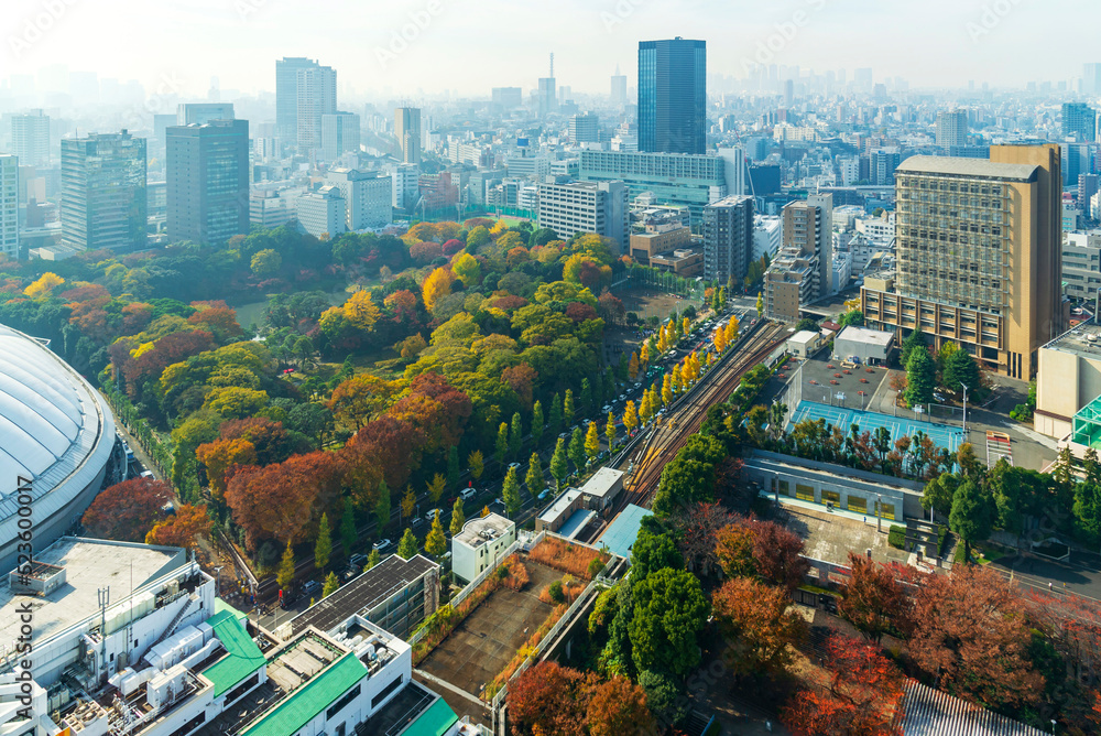 Cityscapes of tokyo in Fog after rain in winter season, Skyline of ...
