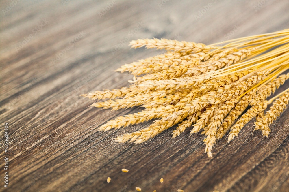 Food and baking ingredient. Wheat flour coarse from whole wheat grains ...