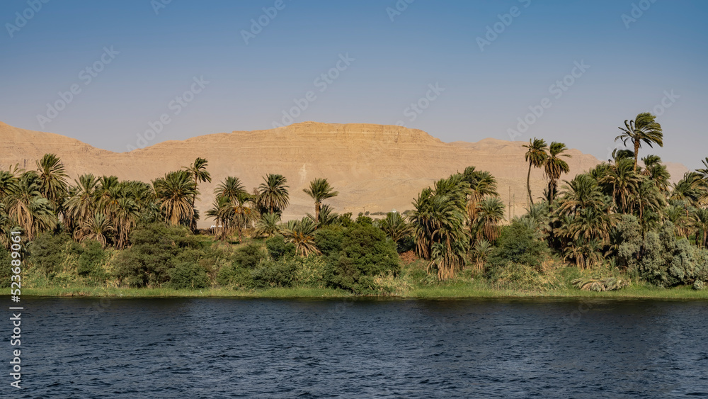 The bank of the Nile River. Along the coastal line there are thickets ...