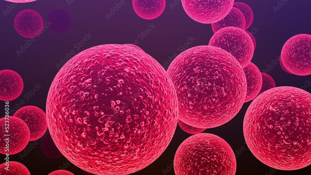 Streptococcus bacteria. Streptococcus species are responsible for ...