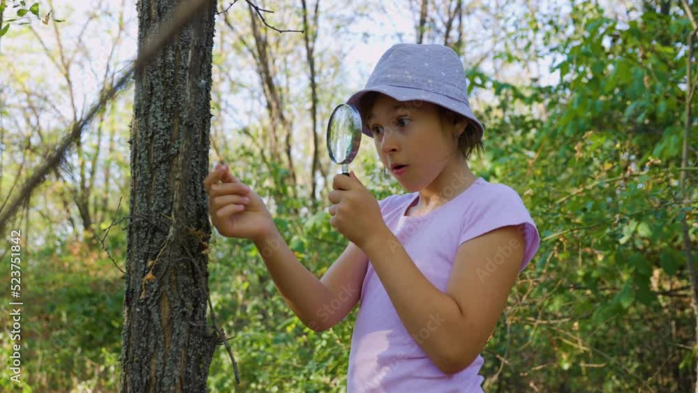 little child naturalist botanist with a magnifying glass is surprised ...