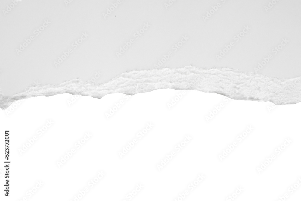 White ripped paper torn edges strips isolated on white background Stock ...