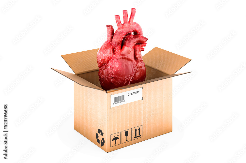 Human heart inside cardboard box, delivery concept. 3D rendering Stock ...