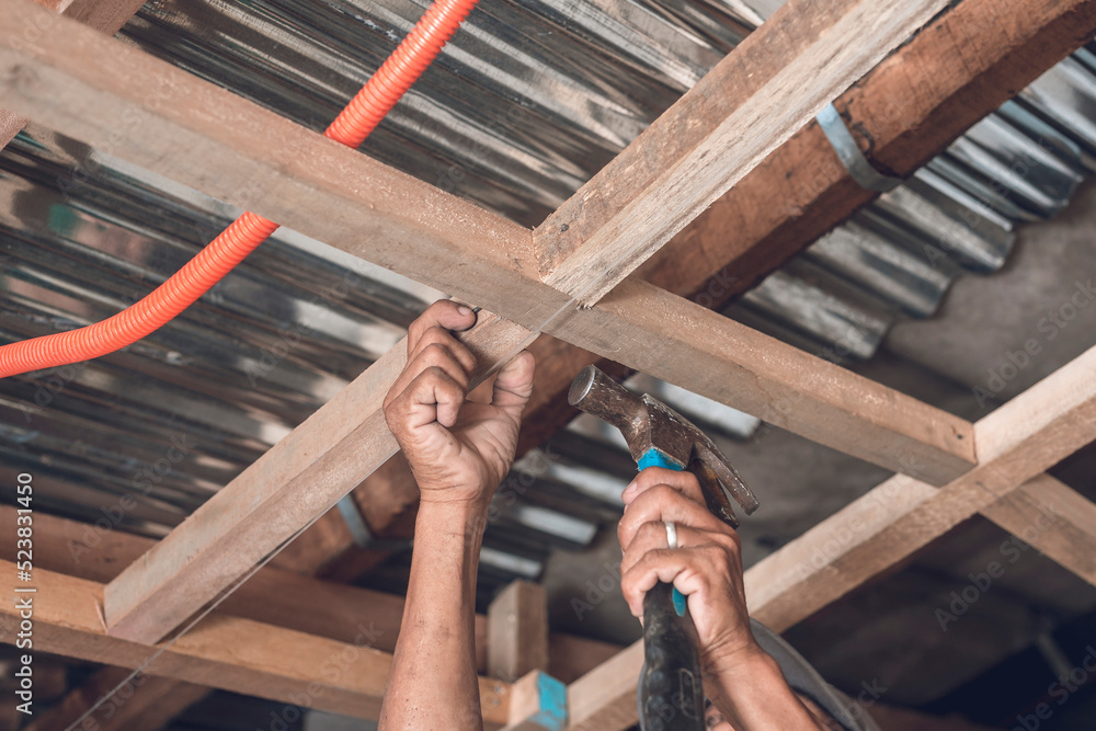 A carpenter using a hammer to nail a purlin to a rafter. Roof ceiling ...