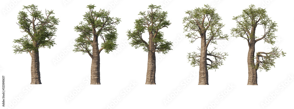 Trees in the desert on a transparent background Stock Illustration ...
