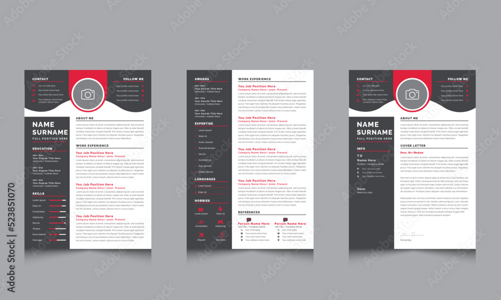 Gray and Red Modern Resume and Cover Letter Layout Vector Template for ...