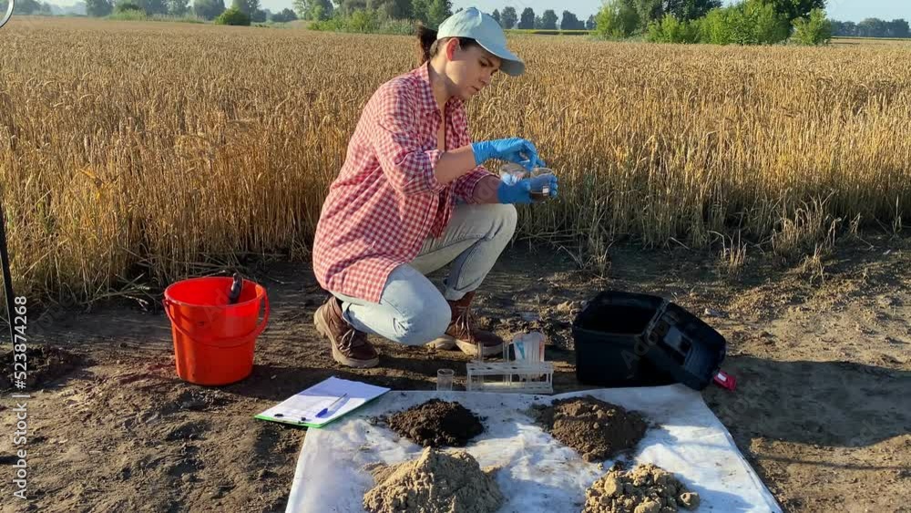 Female agronomy specialist testing soil sample by using laboratory ...
