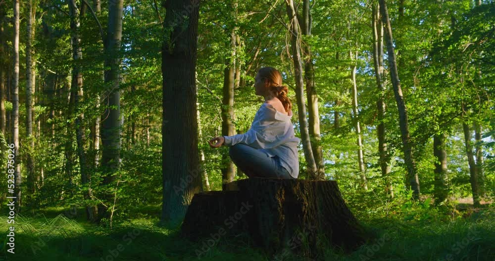 Amazing view woman meditate sitting ion a stump in dense forest ...