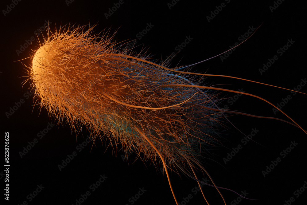 A flagellated bacteria or microbe, 3d rendering medical illustration. E ...